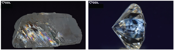 TNJtv.com | The News you can use